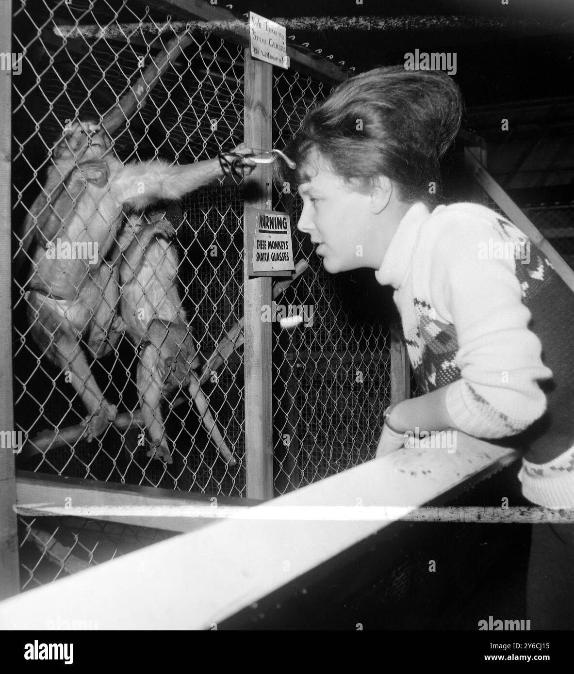 JEAN WILEY WITH INDIAN MONKEY WEARING GLASSES IN KIRBY/ ; 30 NOVEMBER ...