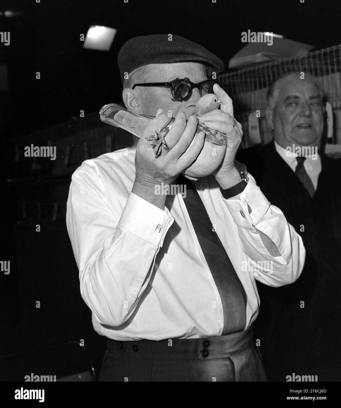 DANISH JUDGE VIGGO KNUDSEN WITH RACING PIGEONS IN LONDON / ; 29 ...