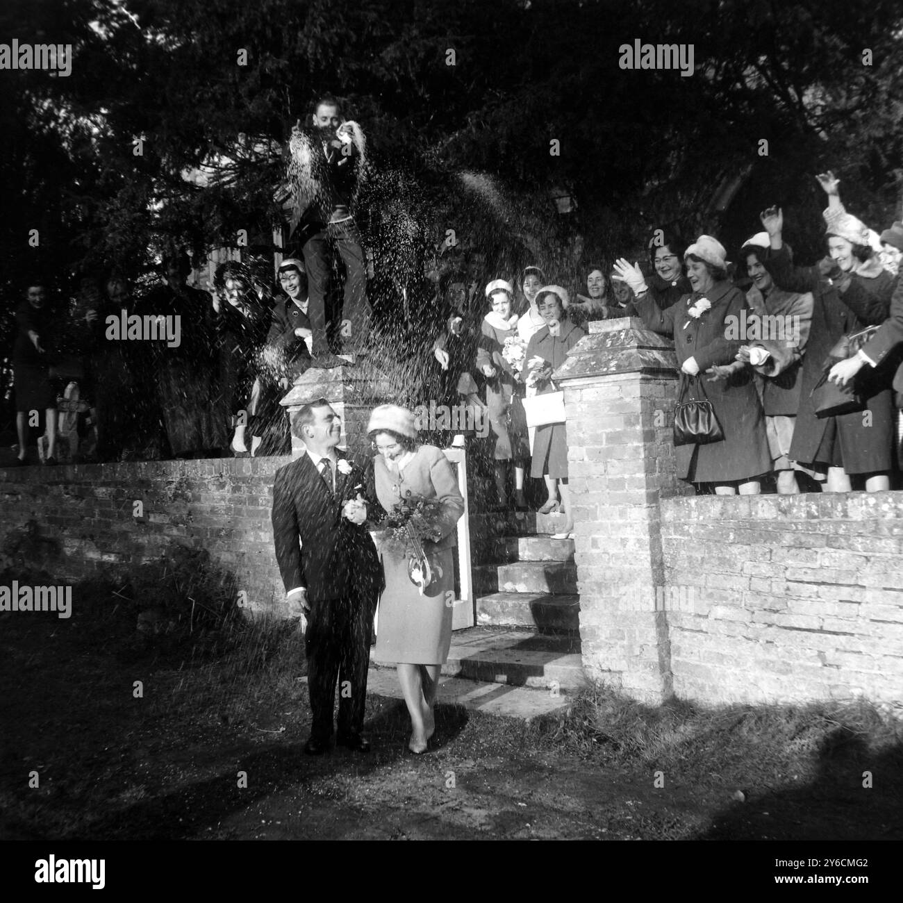 WEDDINGS CLIFFORD MCDONALD AND JANE AITKEN WANTS BIRDSEED NOT CONFETTI ...