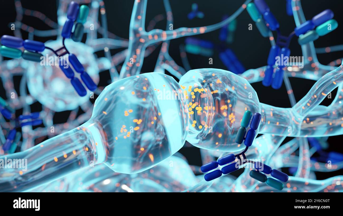 3D renderings of antibody molecules and brain cells, Antibodies can ...