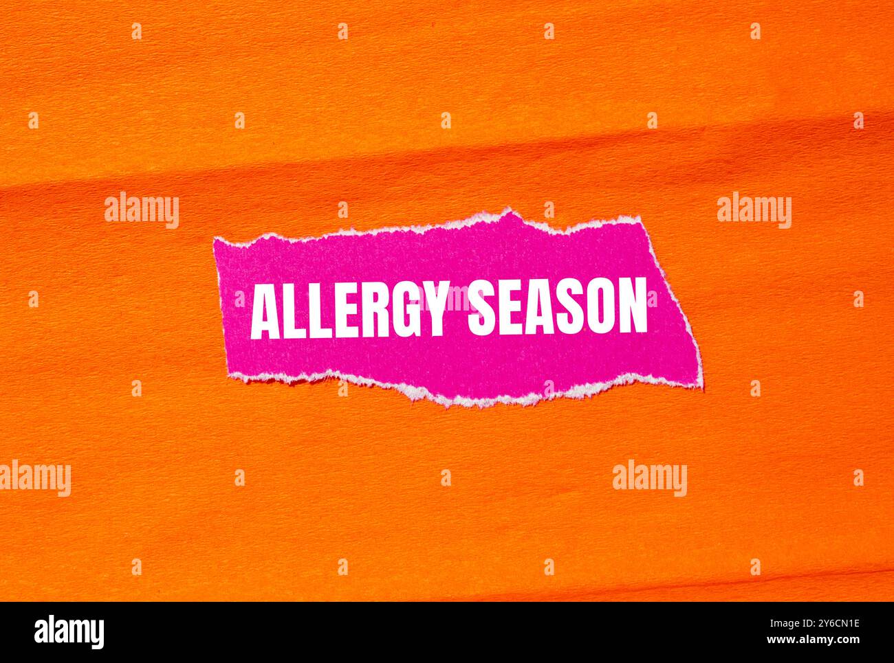 Allergy season message written on ripped torn pink paper with orange ...
