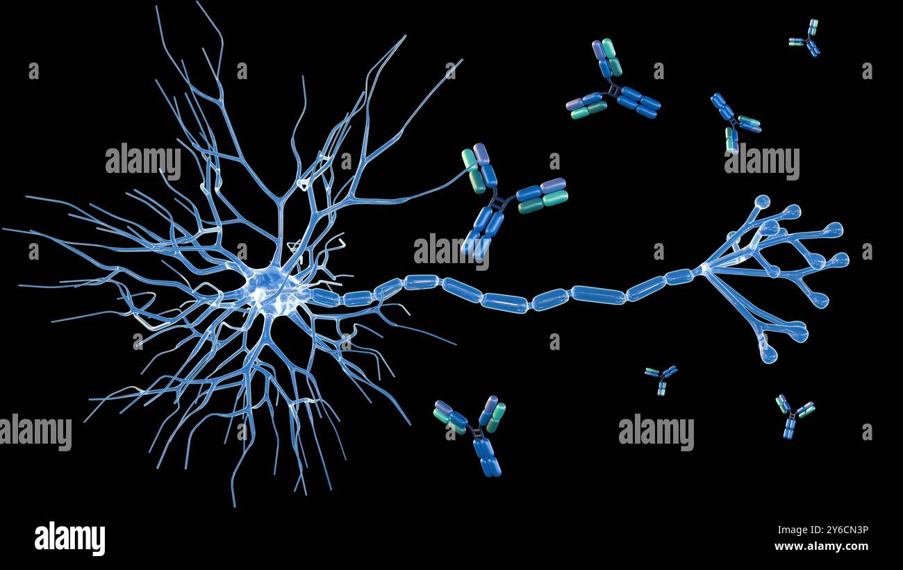 Multipolar neuron structure hi-res stock photography and images - Alamy