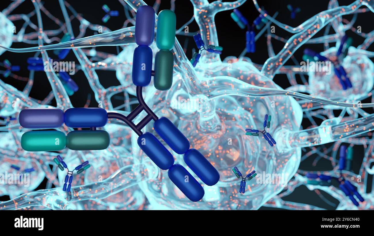 3D renderings of antibody molecules and brain cells, Antibodies can ...