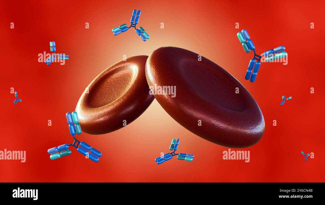 3d rendering of antibody molecules scattered around red blood cells or ...
