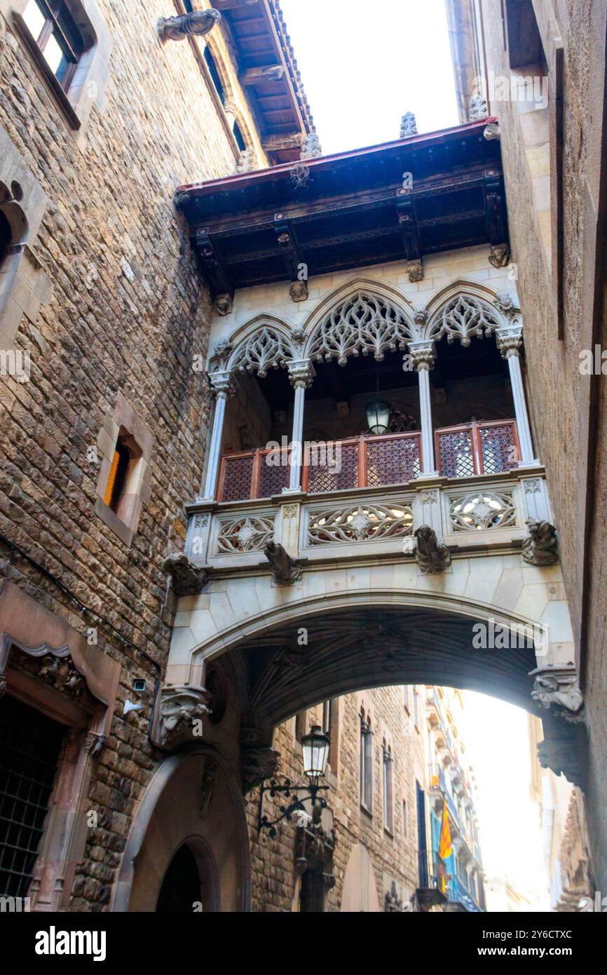 The Pont del Bisbe (Bishop's Bridge), a Gothic bridge built in 1928 ...