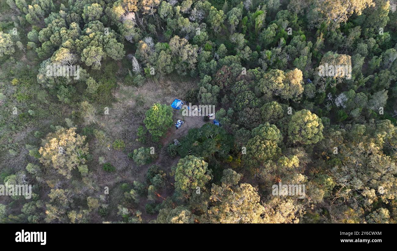 Aerial view of a campsite with tents in the middle of a dense forest ...