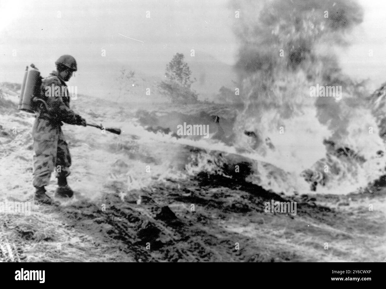 VAJONT DAM DISASTER IN LONGARONE, ITALY - SOLDIER BURNS CATTLE CARCASS ...