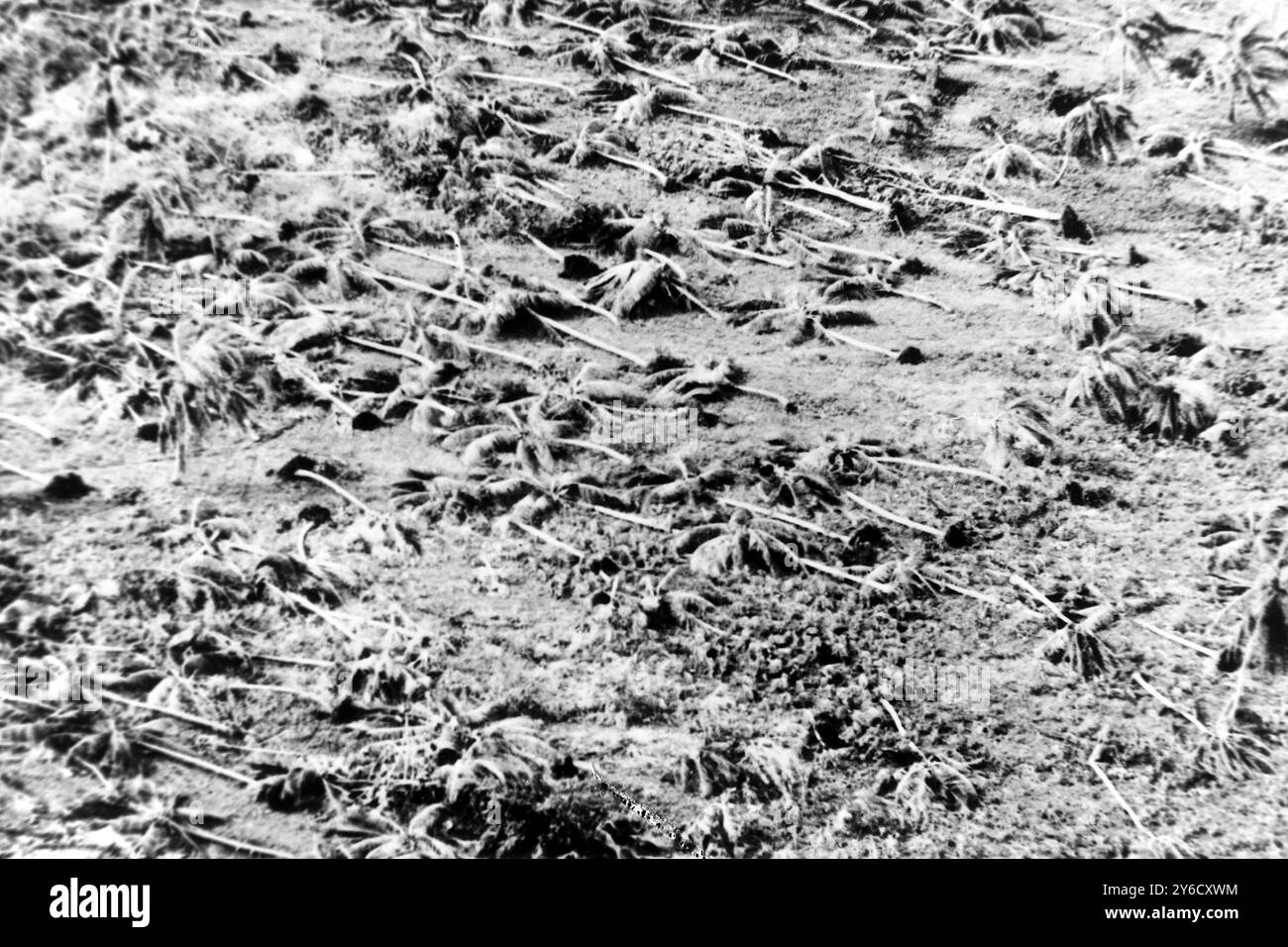 October 7 1963 Black and White Stock Photos & Images - Alamy