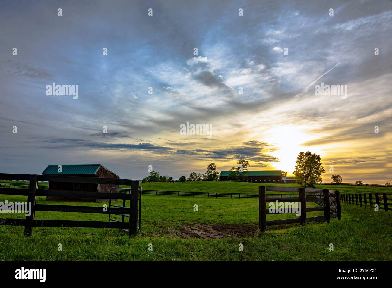 Fencing of paddocks of lush green kentucky bluegrass on a Kentucky ...
