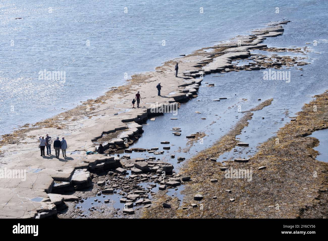 The unusual rock formations on the beach at Kimmeridge Bay on the ...