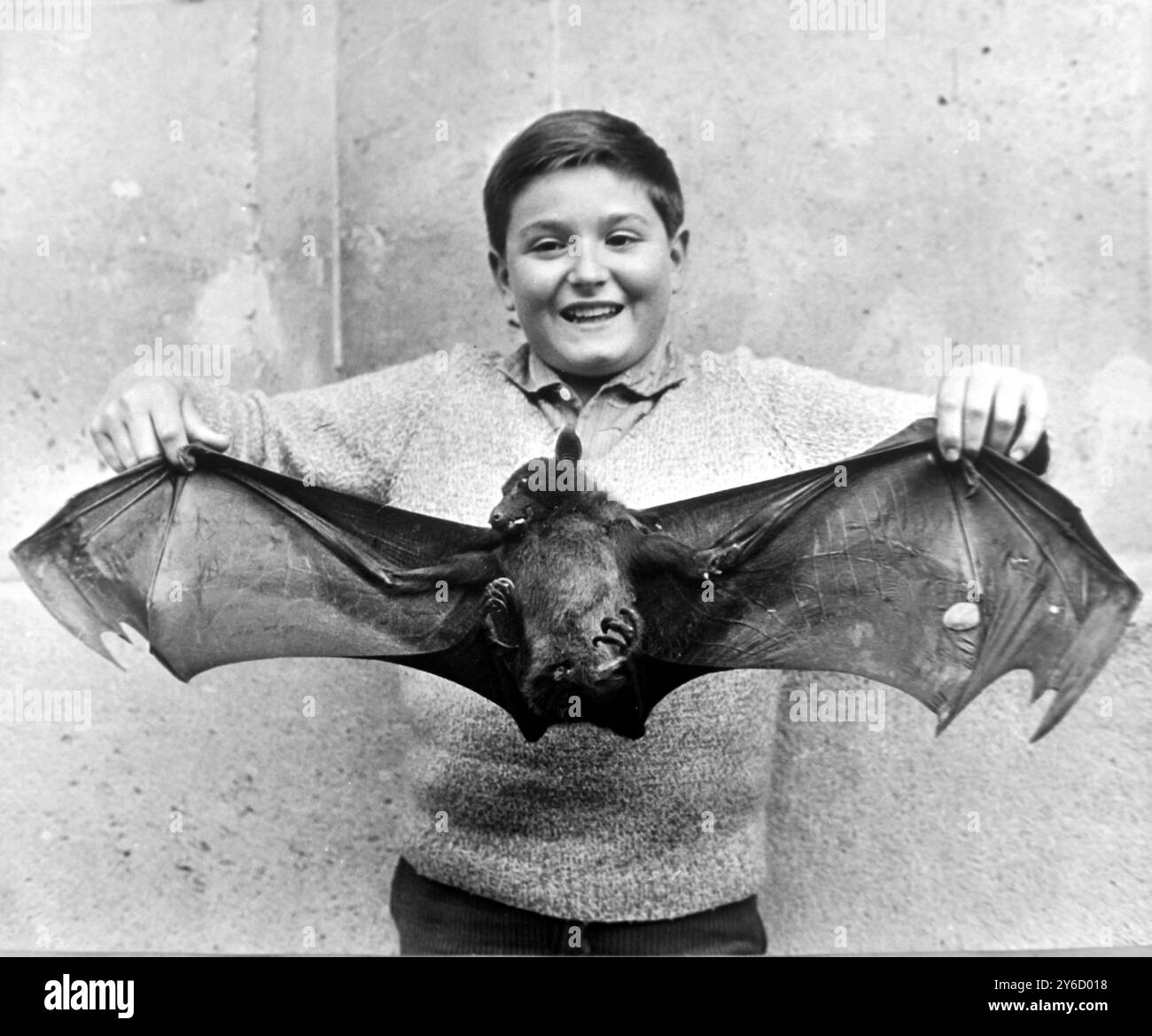 GIANT BAT MYSTERY IN PARIS / ; 30 SEPTEMBER 1963 Stock Photo - Alamy