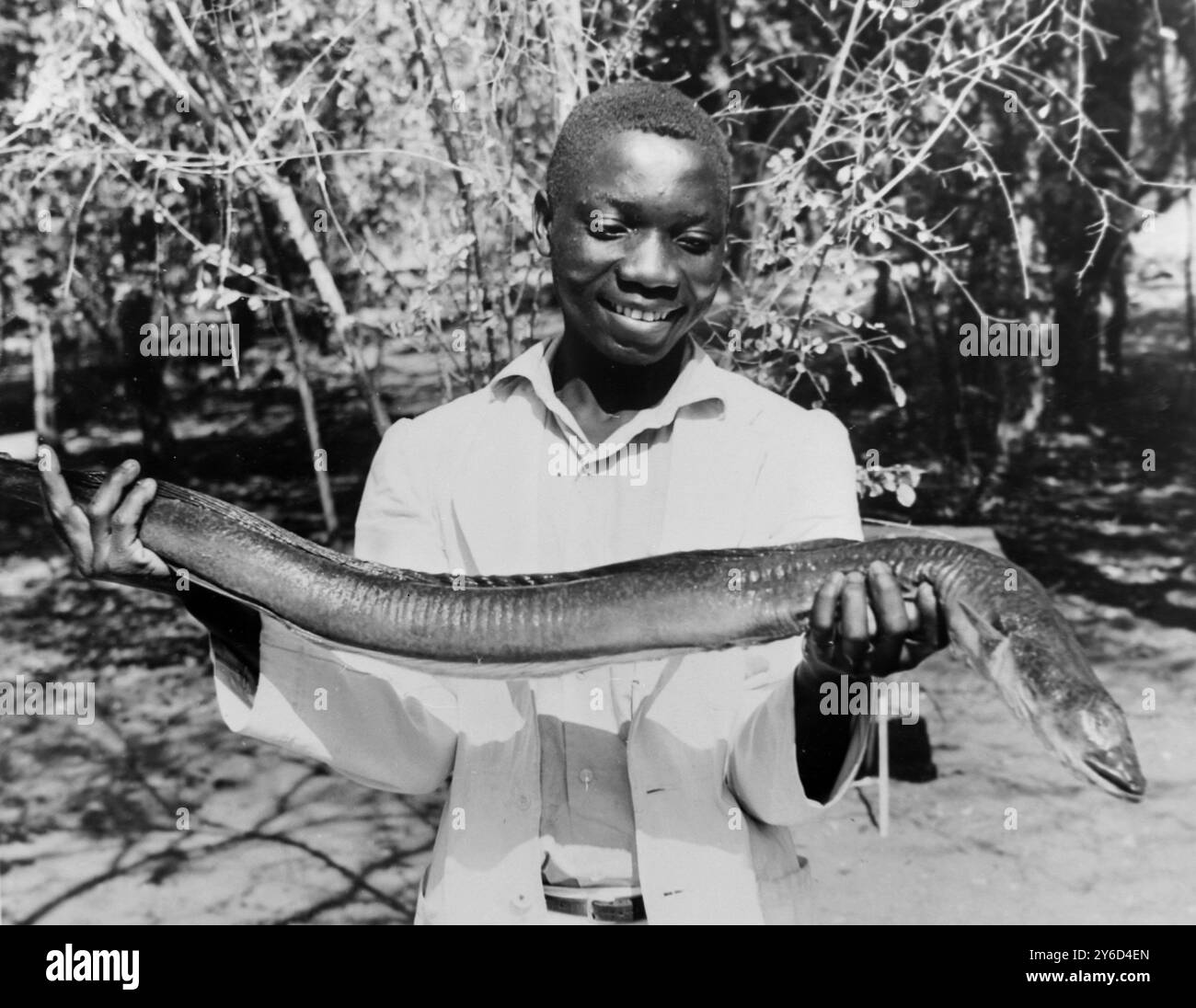 FISHING AFRICAN BOY HOLDS EEL CAUGHT IN VICTORIA FALLS ; 20 AUGUST 1963 ...