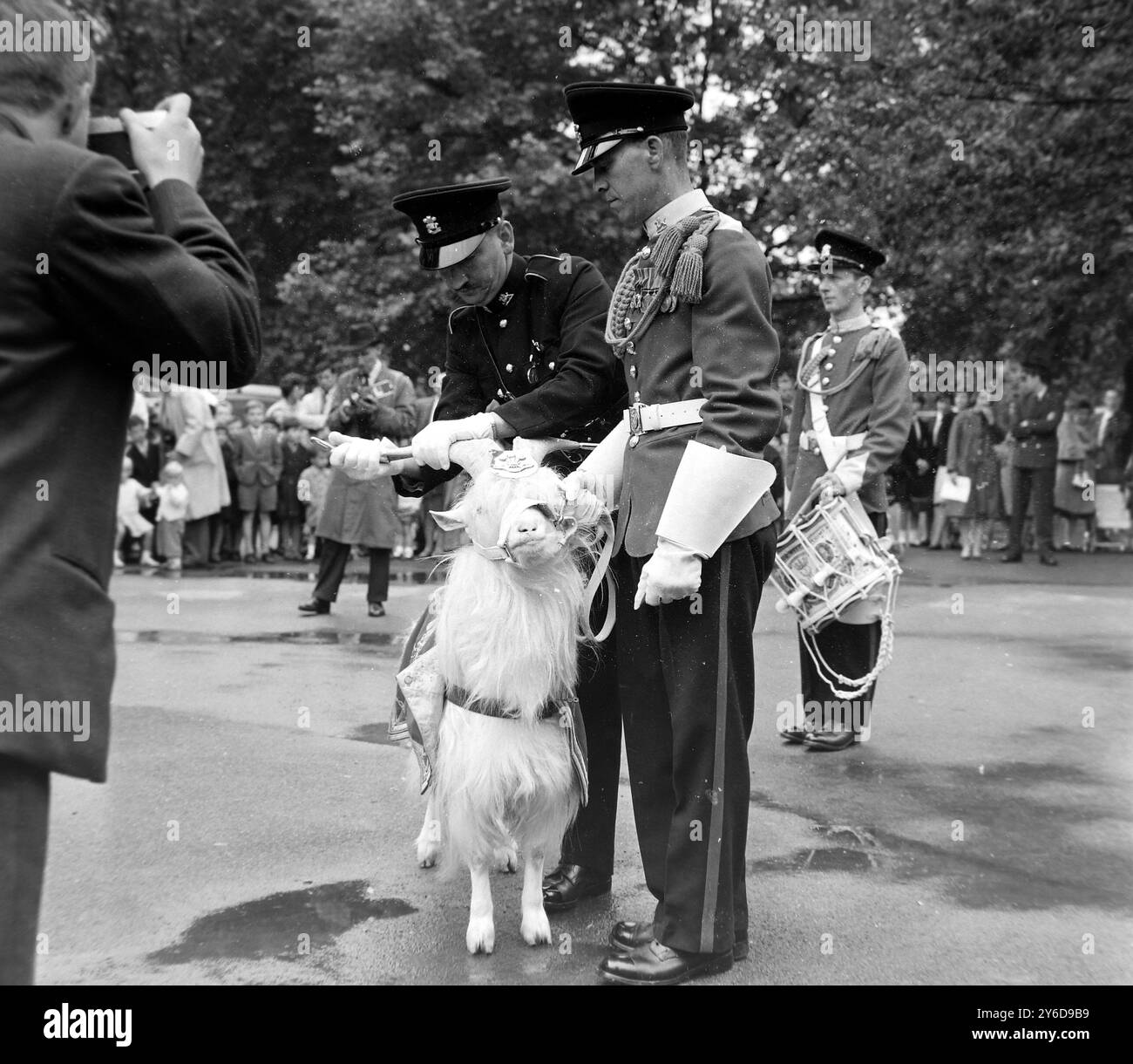 The history of the welch regiment hi-res stock photography and images ...