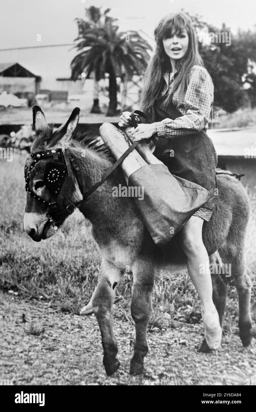 ACTRESS DIAHR WILLIAMS ON A DONKEY IN NICE ; 26 JUNE 1963 Stock Photo ...