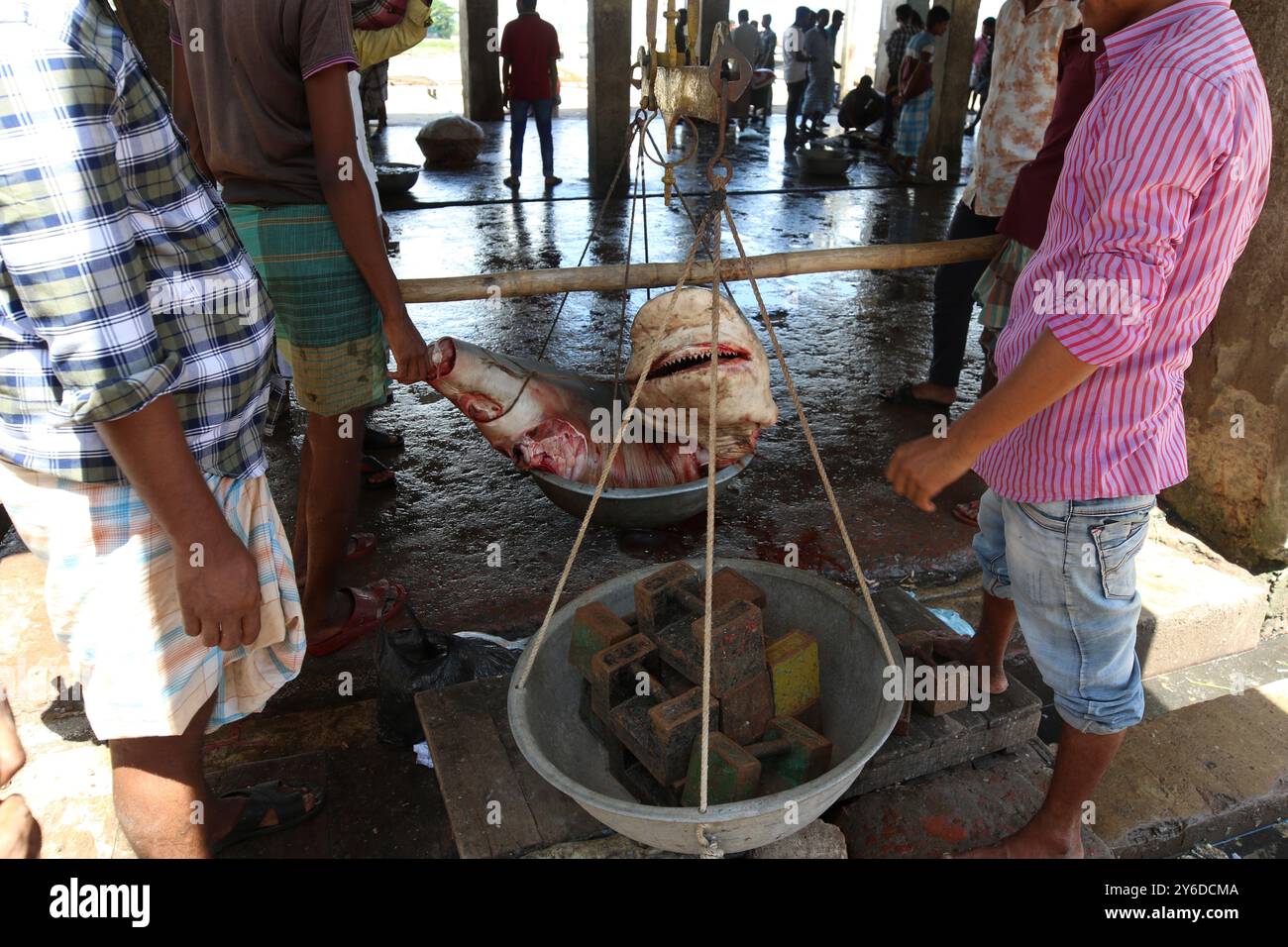 Street fish in a market in Cox's Bazar Stock Photo - Alamy