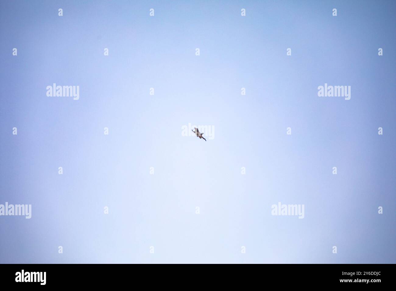 Brazilian Air Force Gripen fighter jet Stock Photo - Alamy