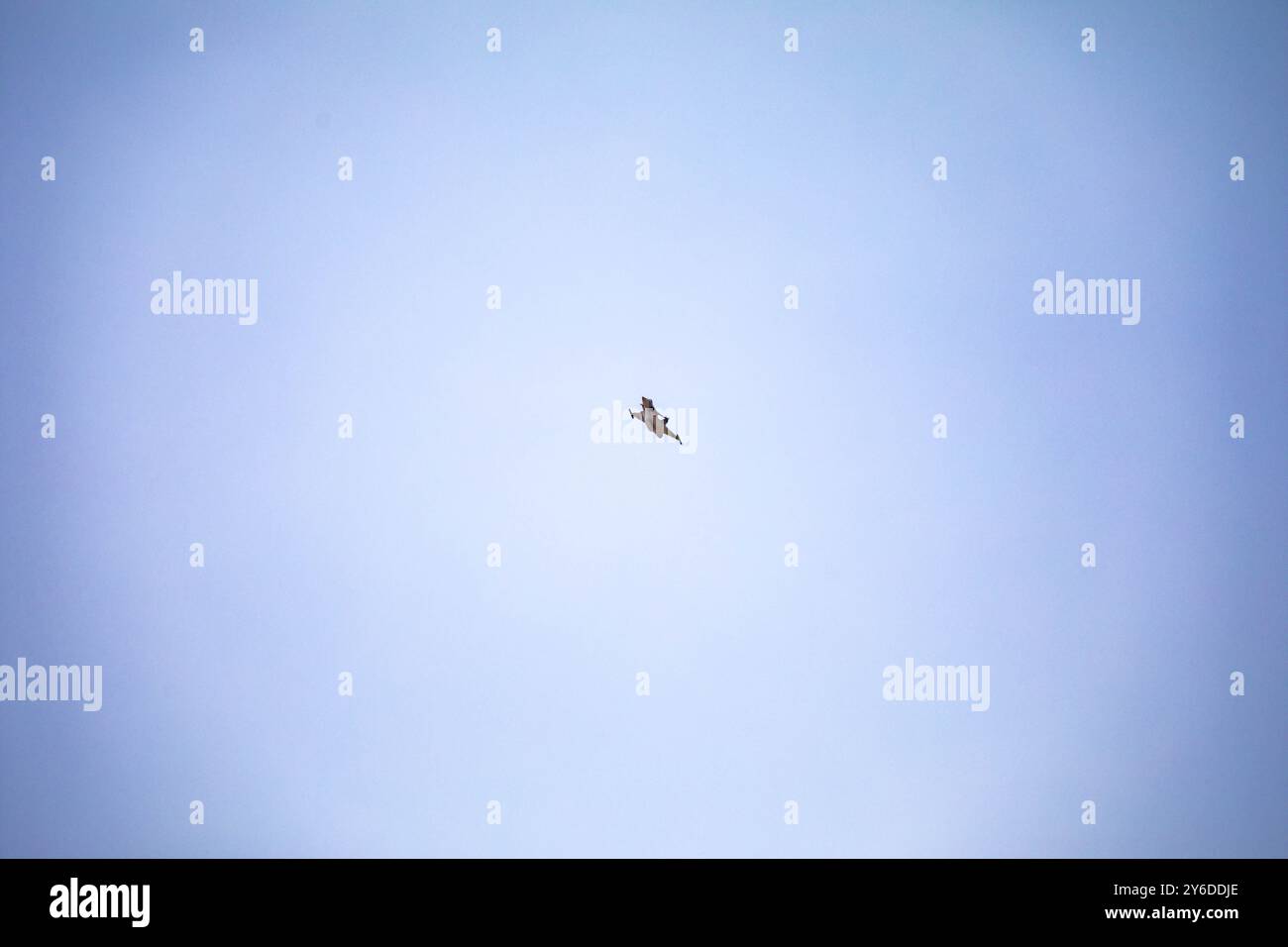 Brazilian Air Force Gripen fighter jet Stock Photo - Alamy