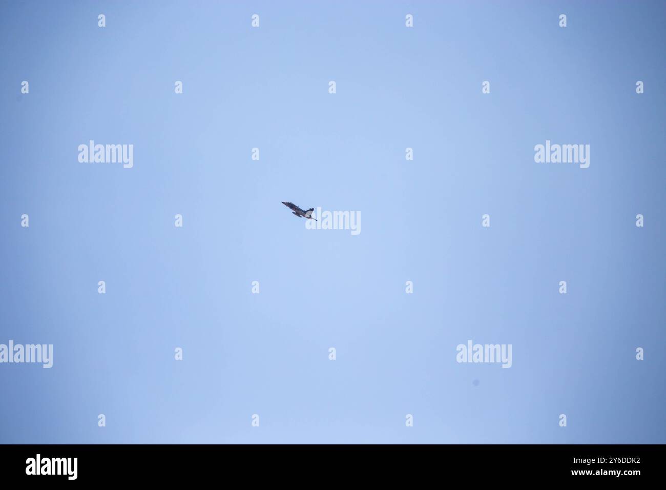 Brazilian Air Force Gripen fighter jet Stock Photo - Alamy