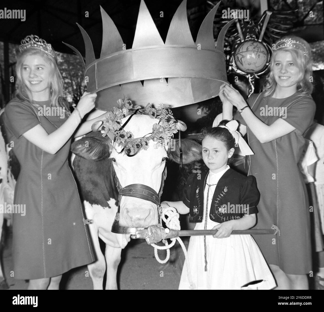 VERONIQUE THE COW QUEEN IN FRANCE / ; 29 MAY 1963 Stock Photo - Alamy