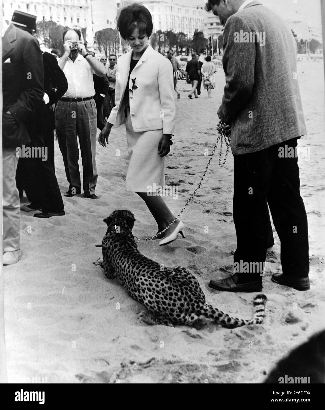ACTOR BURT LANCASTER AND ACTRESS CLAUDIA CARDINALE IN CANNES WITH ...