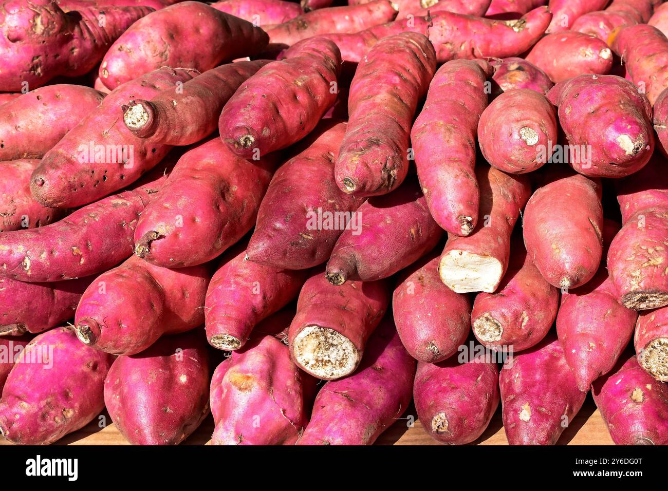 Purple sweet potatoes displayed in the grocery store, Rio de Janeiro ...