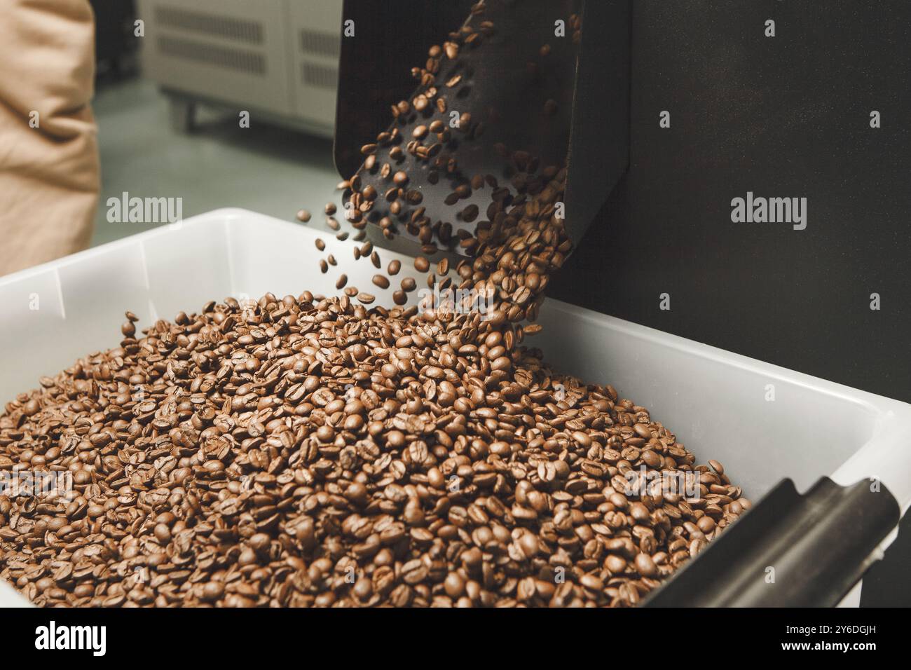 Coffee Beans Pouring Into White Container During Production Stock Photo ...