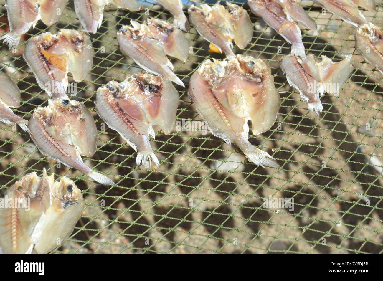 patterns of dried fish background Stock Photo - Alamy