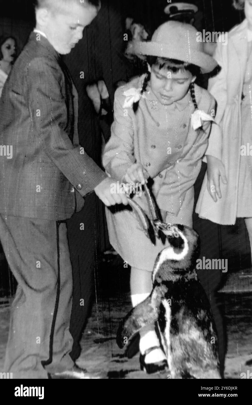 KATHRYN LEVY AND CHRIS LEVINE WITH PRINCESS CAROLINE PLAYING WITH A ...