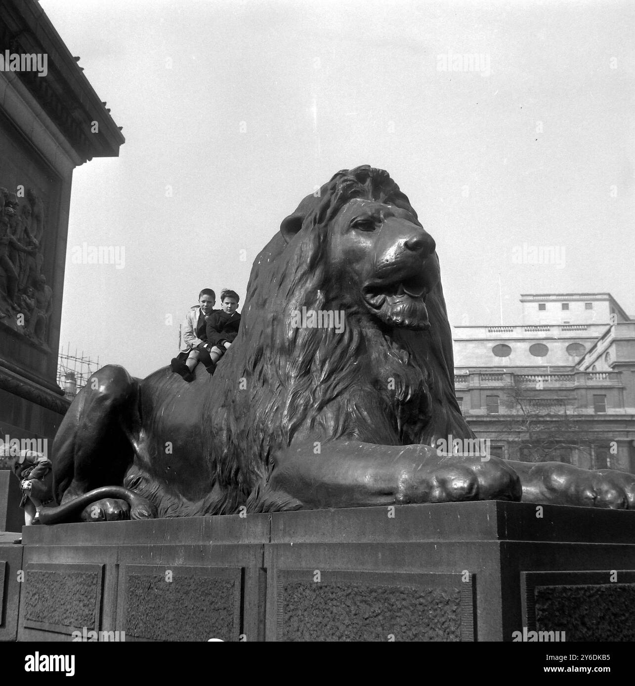 Original trafalgar square lion Black and White Stock Photos & Images ...