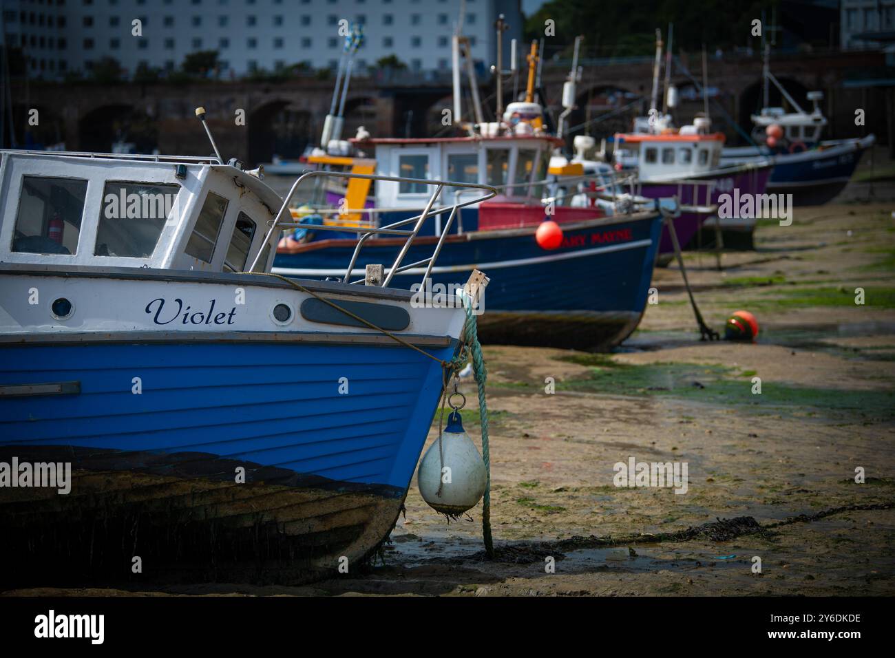 Folkestone harbour reflections hi-res stock photography and images - Alamy