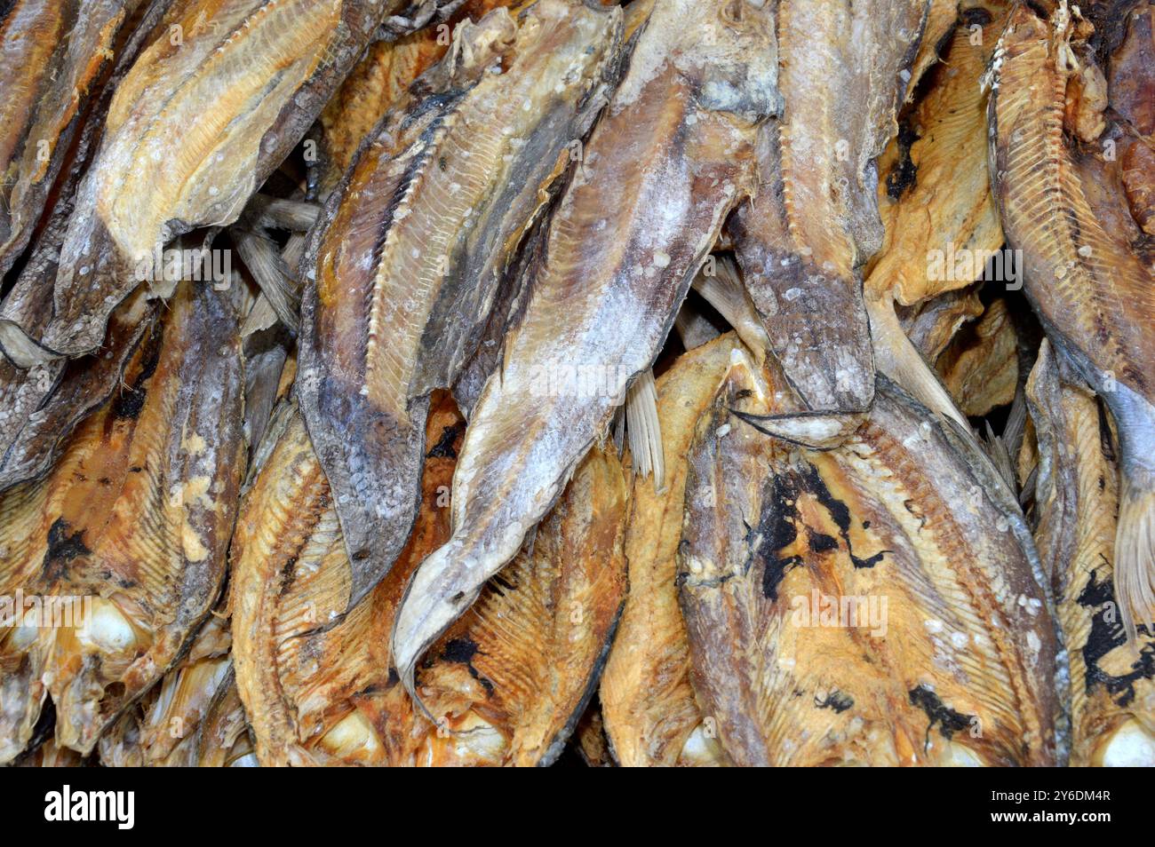 patterns of dried fish background Stock Photo - Alamy