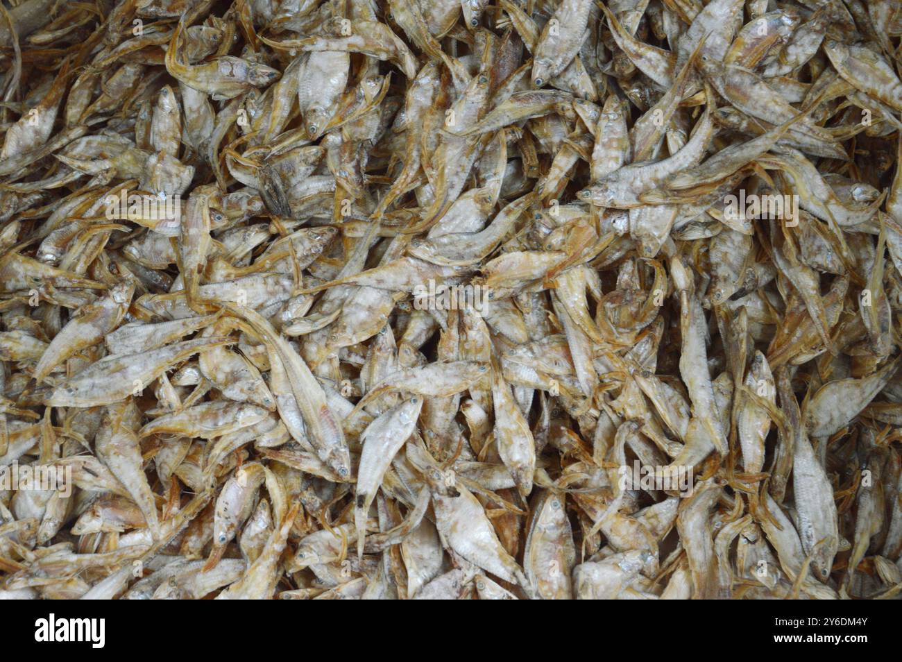 patterns of dried fish background Stock Photo - Alamy