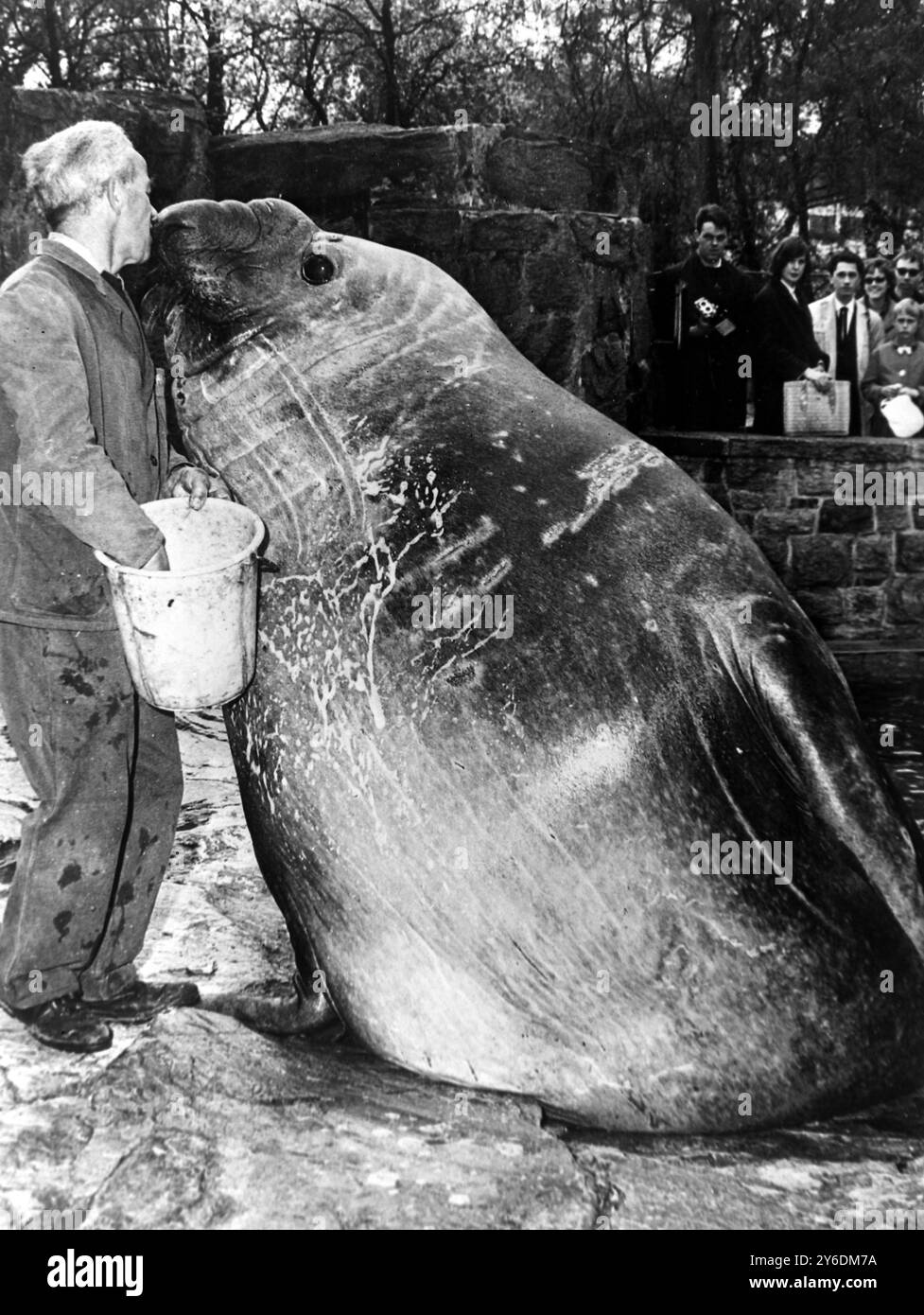 White elephant frankfurt hi-res stock photography and images - Alamy