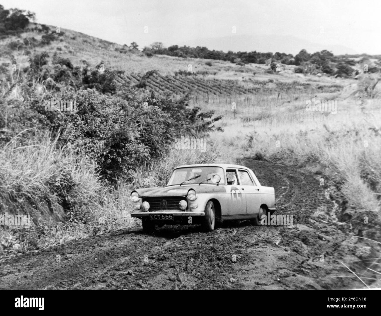 MOTOR RALLY EAST AFRICAN SAFARI NICK NOWICKI AND PADDY CLIFF ON PEUGEOT ...