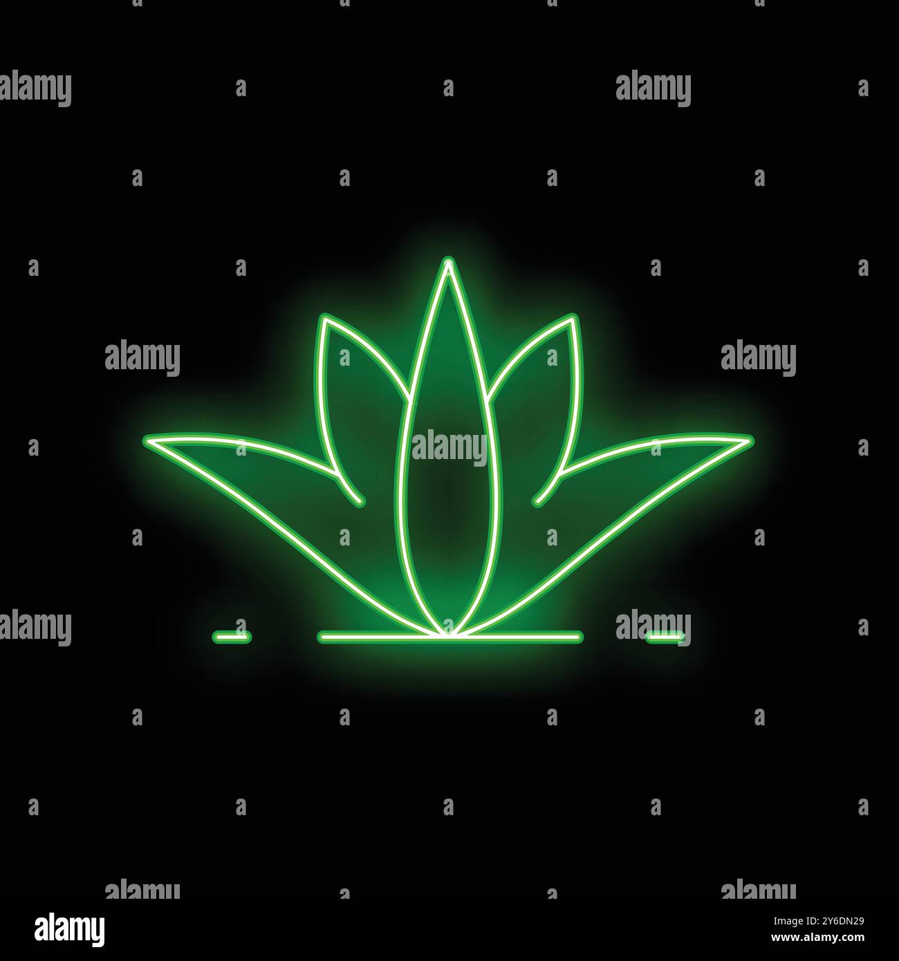 Green neon sign depicting an aloe vera plant is glowing on a black ...