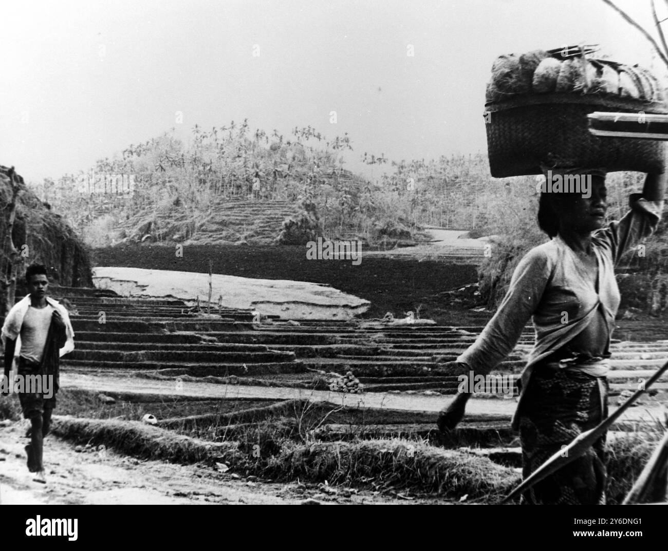 VOLCANOS VOLCANIC ASH COVERING FIELDS IN BALI, INDONESIA ; 10 APRIL ...