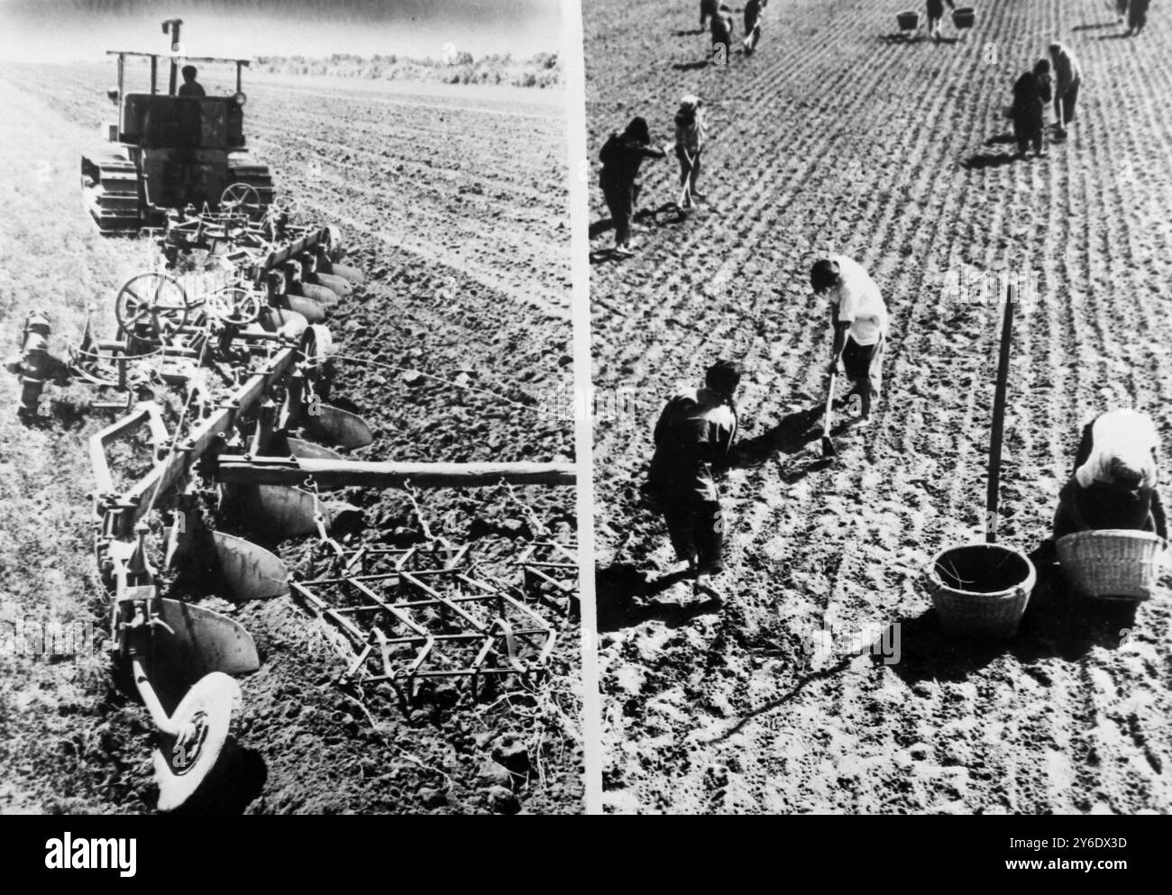 FARMING RUSSIAN AND CHINESE PEOPLE PLOUGHING ; 5 MARCH 1963 Stock Photo ...