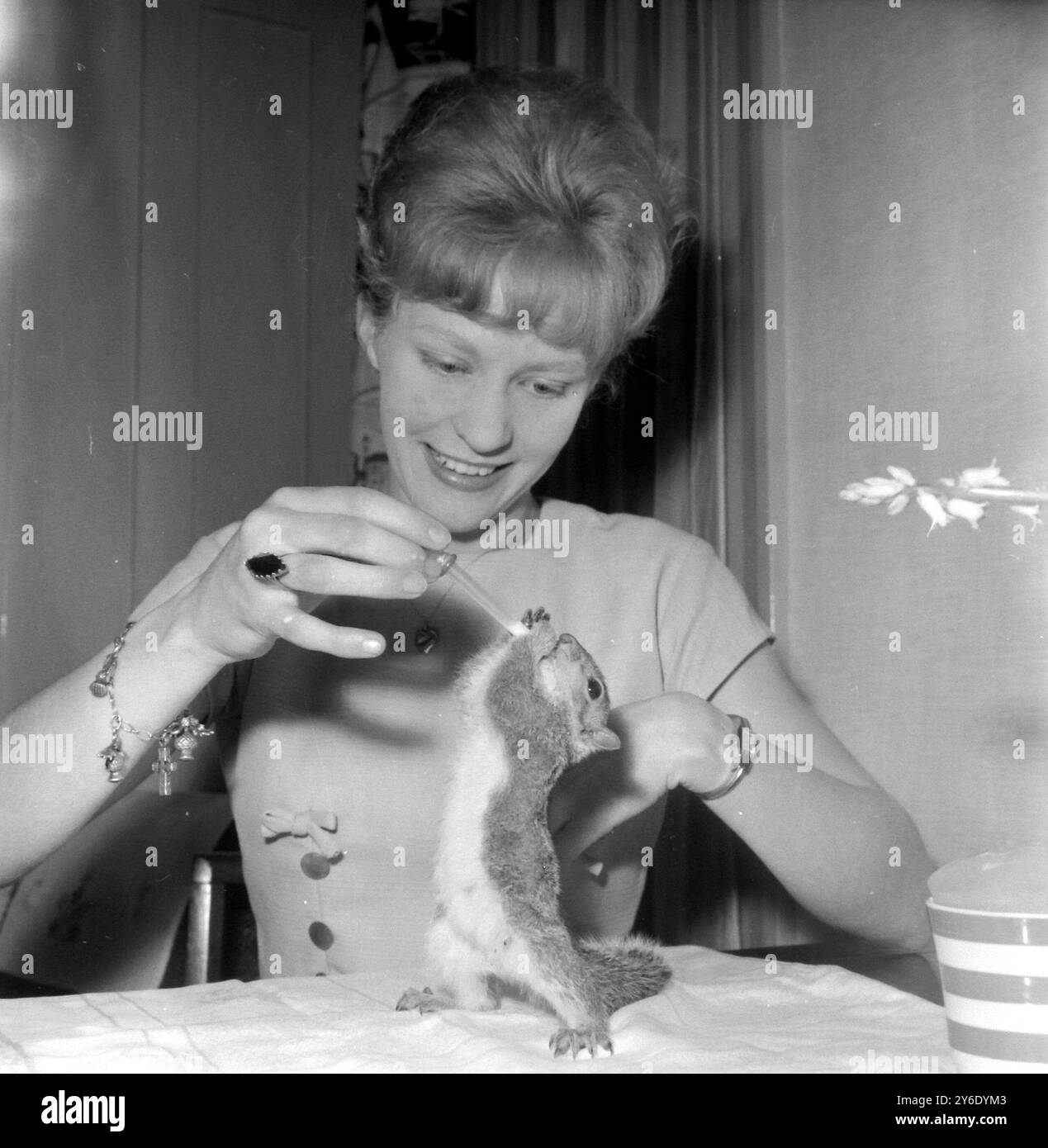 WENDY NEWMAN FEEDING SQUIRREL / ; 15 FEBRUARY 1963 Stock Photo - Alamy