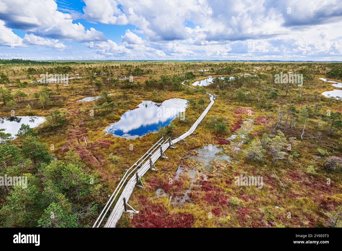 Raised bog, view from the observation tower. Kemeri National park in ...