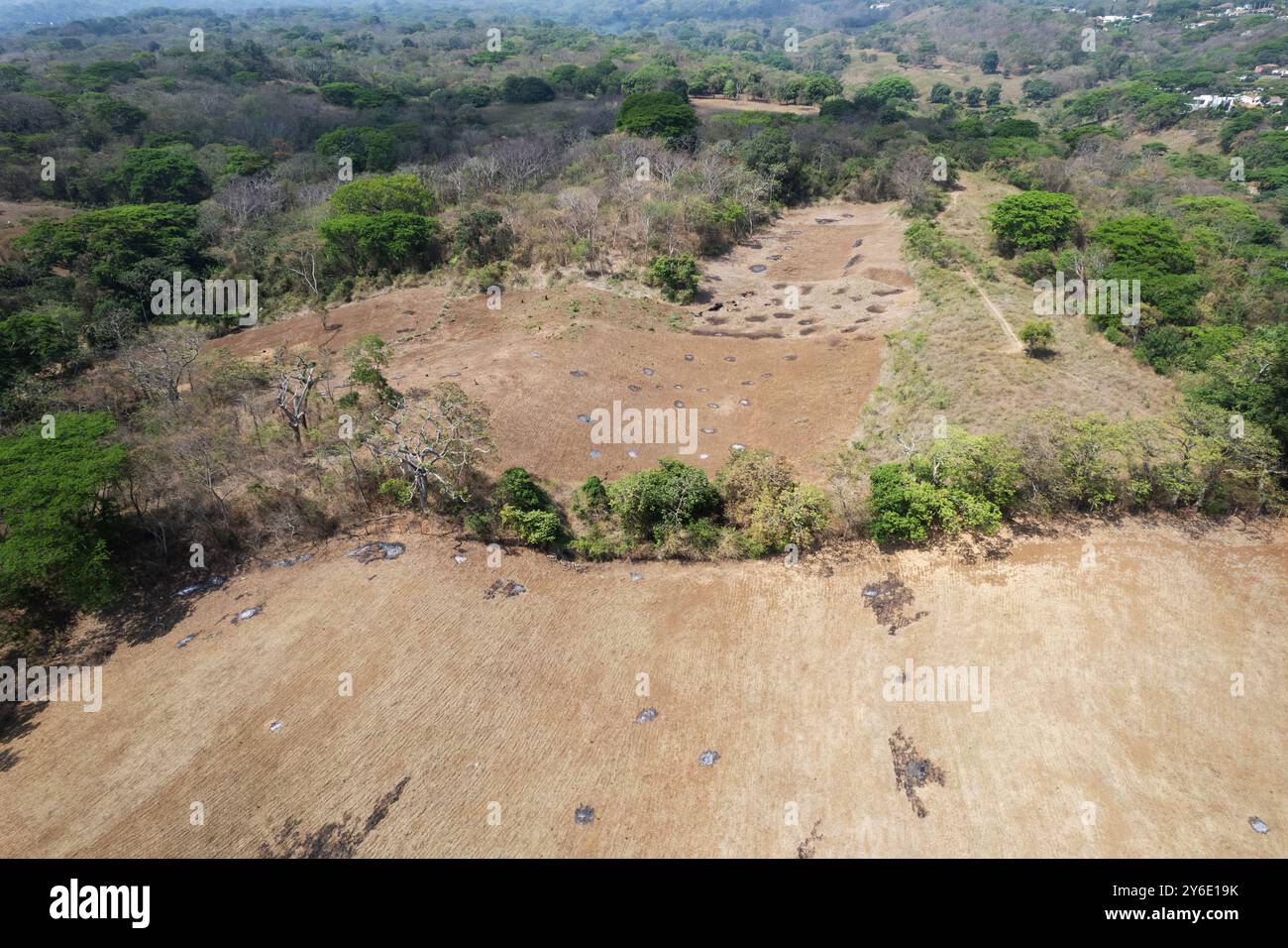 Deforestation landscape background aerial drone view Stock Photo - Alamy