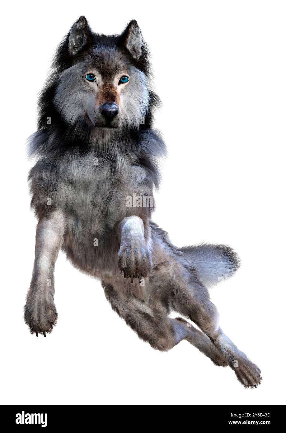 3D rendering of a big gray wolf isolated on white background Stock ...