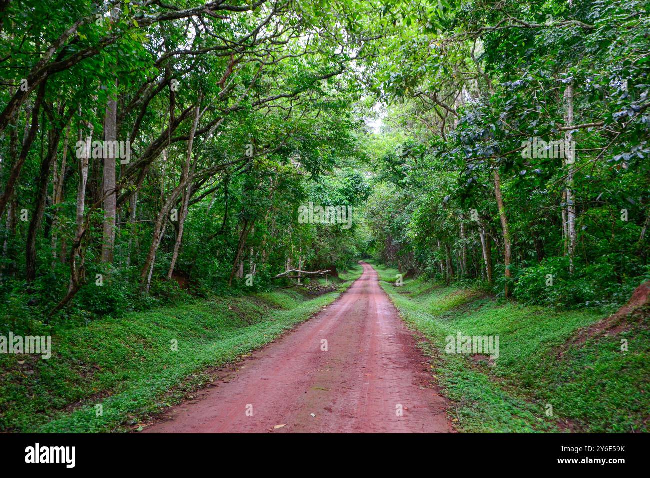 Visit uganda hi-res stock photography and images - Alamy