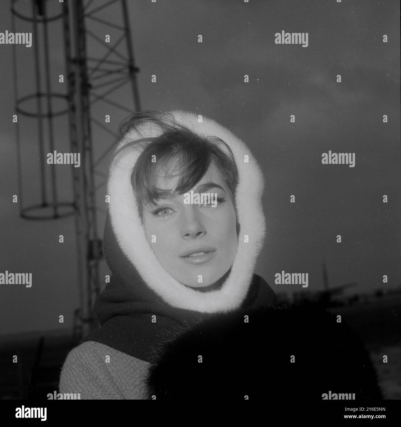 Shirley anne field hi-res stock photography and images - Alamy