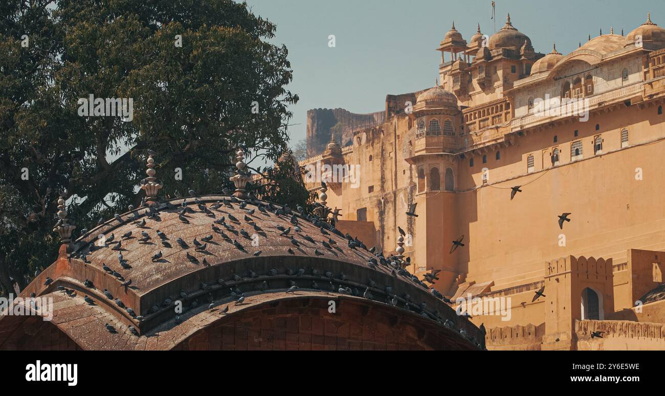 Pigeons Sitting On One Of Roofs Of Gate. Amer Fort Or Amber Fort Is ...