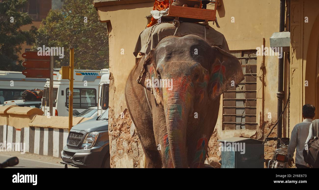 Jaipur, Rajasthan, India. Elephant Driver Sits On Elephant Walking ...