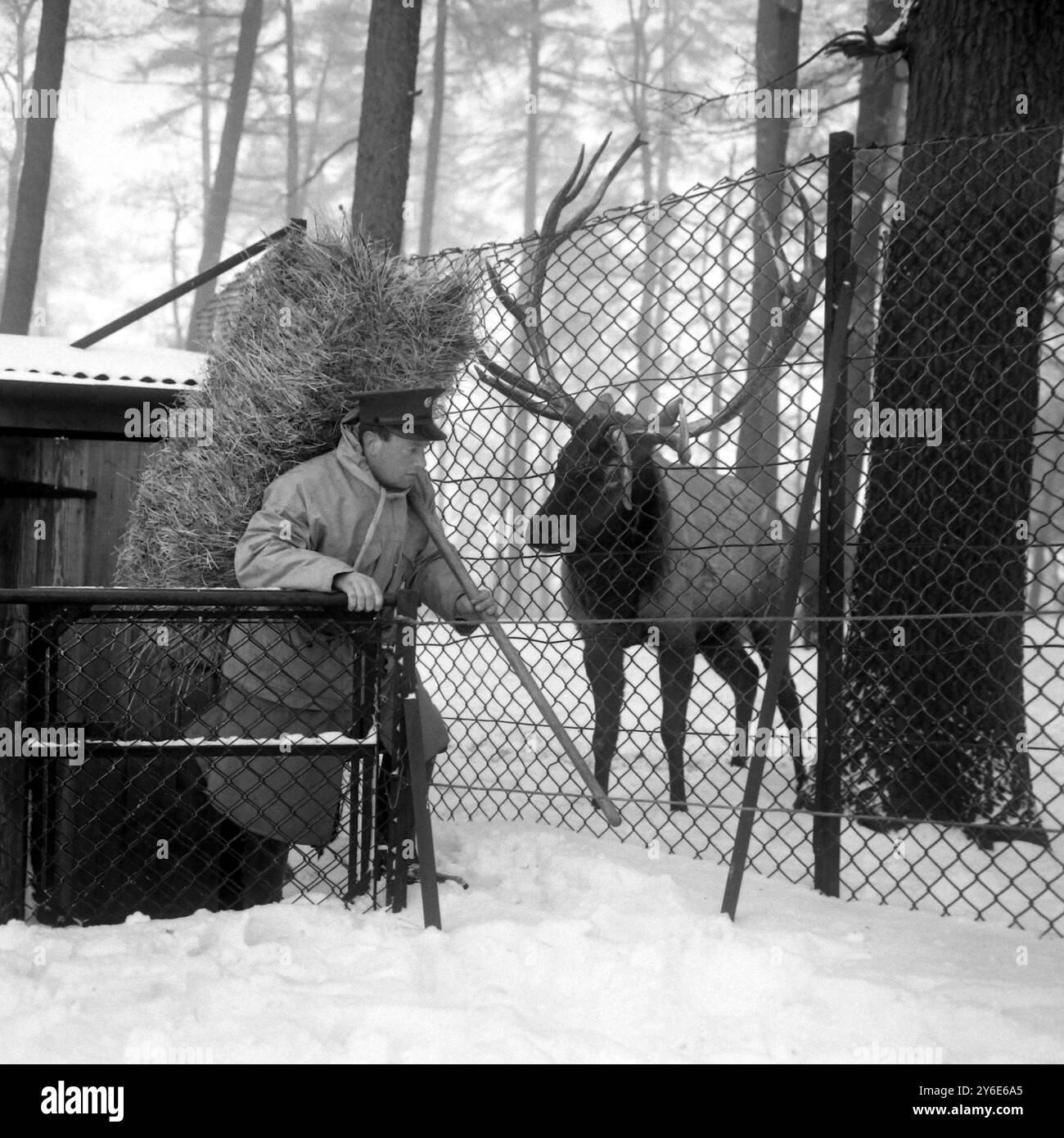 Harry stevens hi-res stock photography and images - Alamy