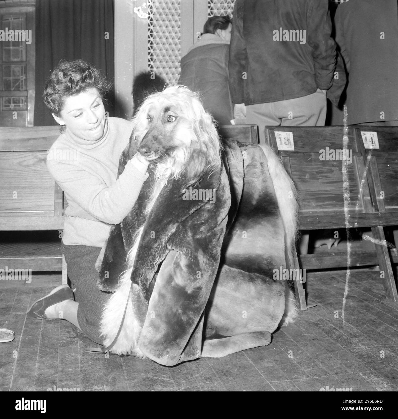 HARRISON C H DOG JALI OF VISHNU / ; 29 DECEMBER 1962 Stock Photo - Alamy