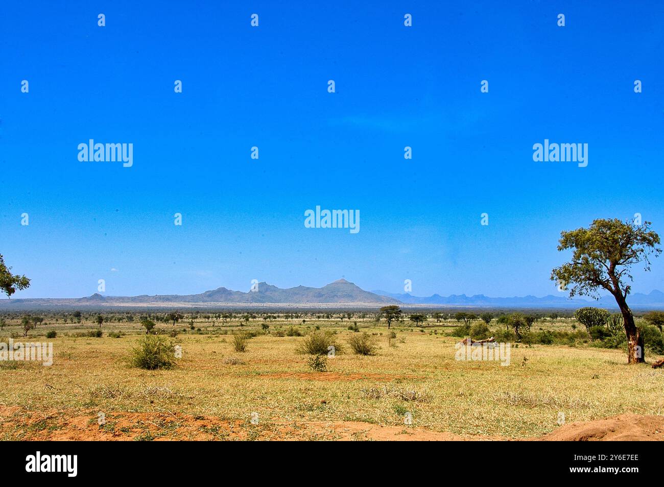 Karamoja plain hi-res stock photography and images - Alamy