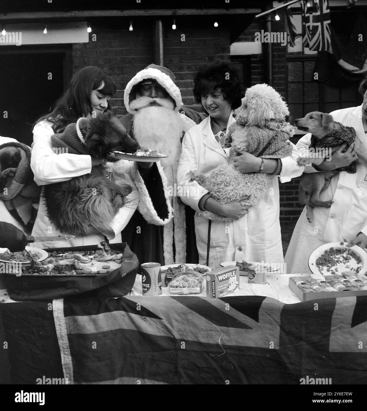 CHRISTMAS PARTY FOR ANIMALS ; 19 DECEMBER 1962 Stock Photo - Alamy