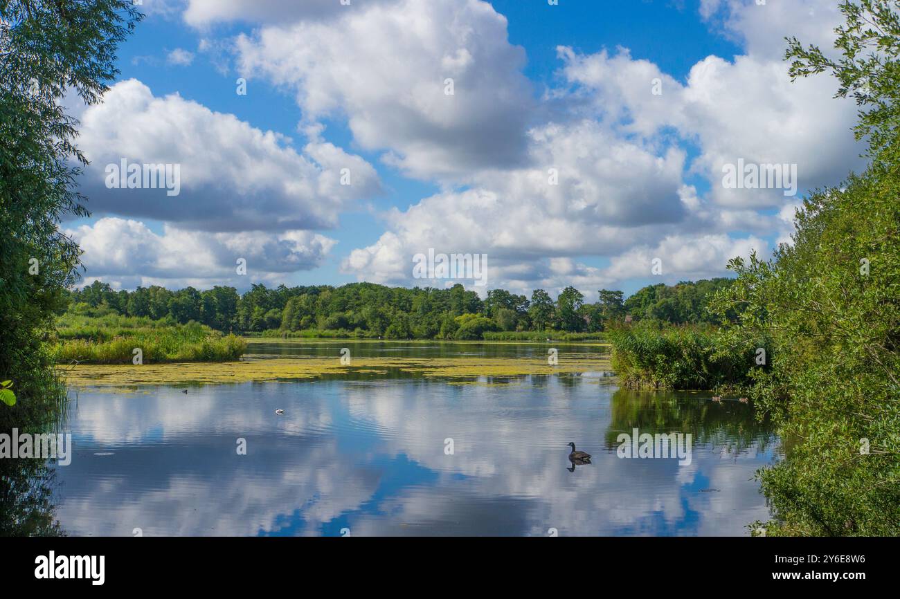 Fleet Pond Hampshire , England Stock Photo - Alamy